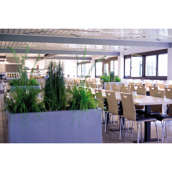 MAHA-Betriebsrestaurant als eines der drei besten deutschlandweit ...